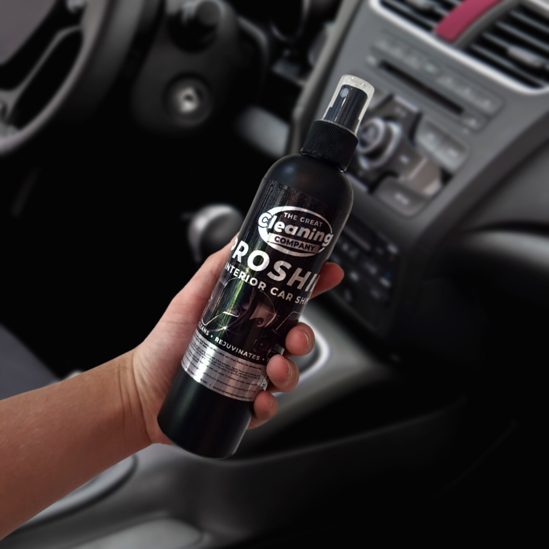 300ML PROSHINE SPRAY – thegreatcleaningcompany